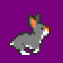 Bunny animated sprites (24 x 24 px) [OC] : PixelArt